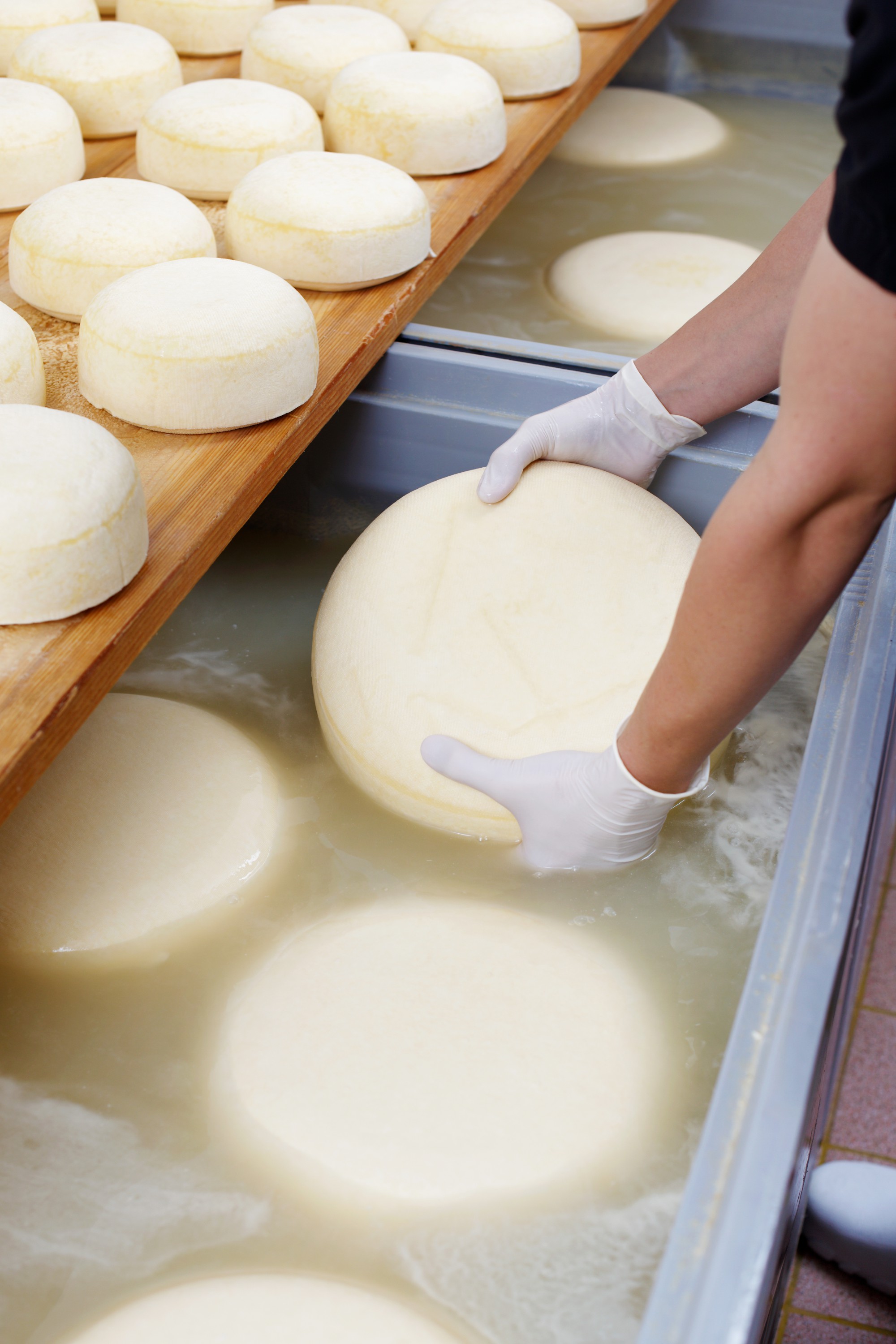 Cheese & dairy - Superyacht Supplies